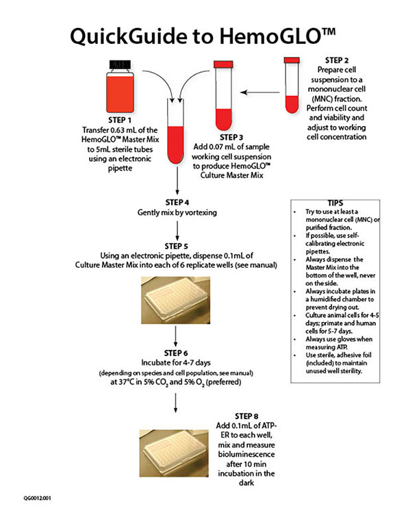 Preferred Cell Systems -- HemoGLO
